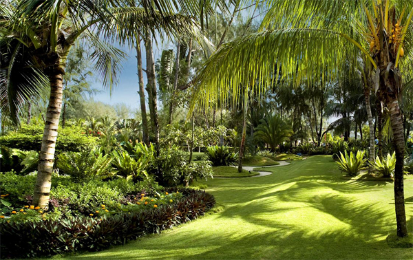 Iconic Vacation Club iconic-vacation-club
